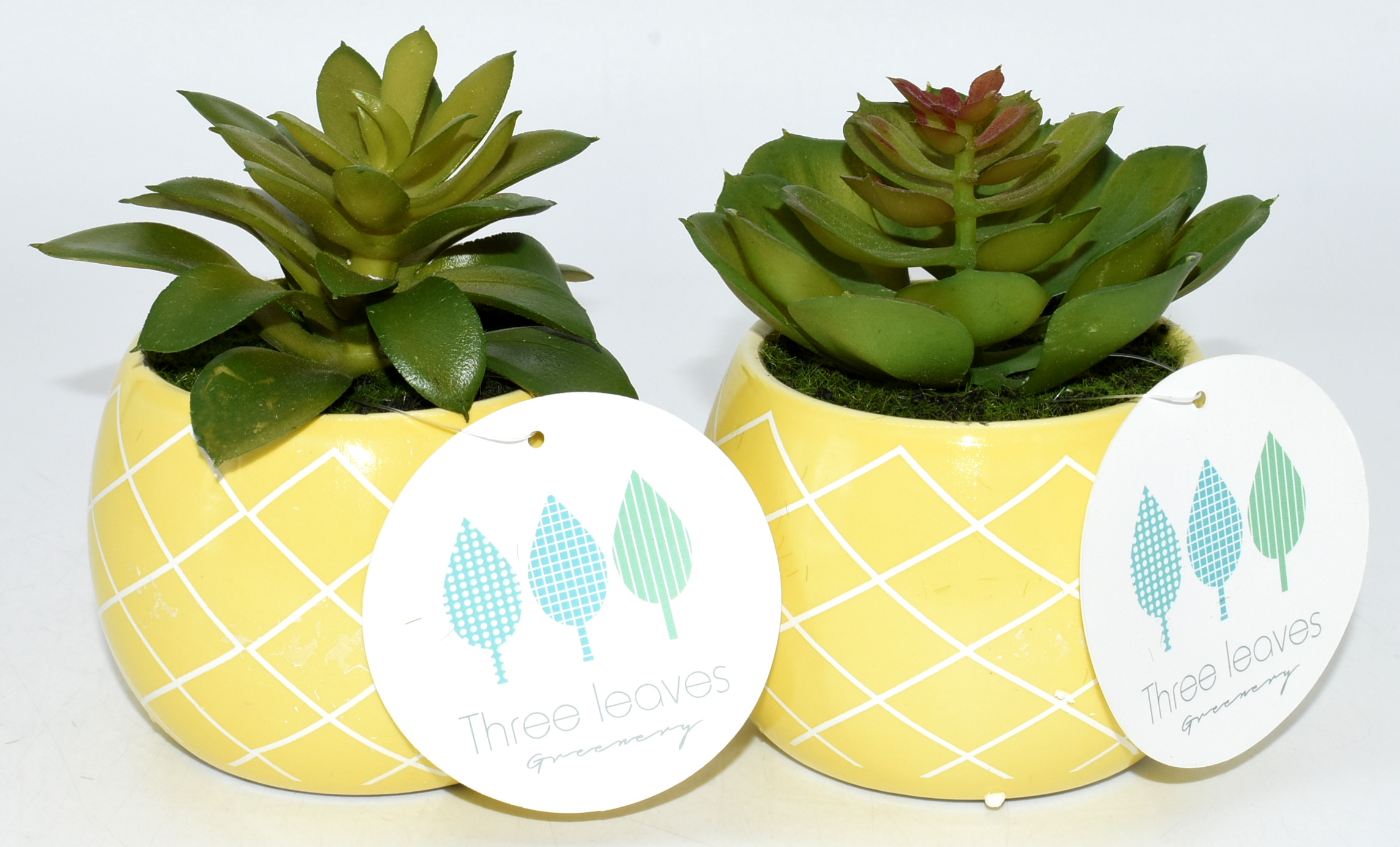 Leon Korol Company - Giftware, Décor, Vases & Wicker - PLANT ...